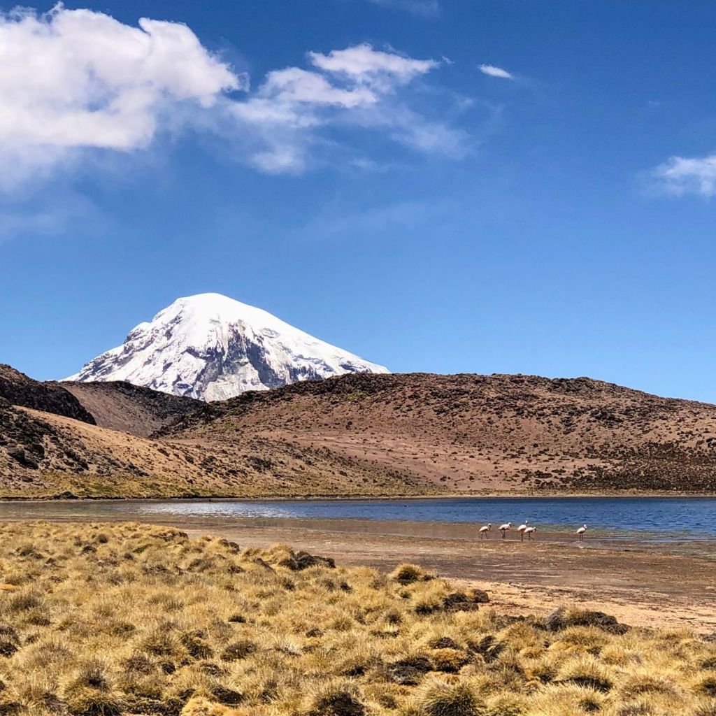 Sajama NP: Glück und noch ein 6000er | Eli Superschnelli