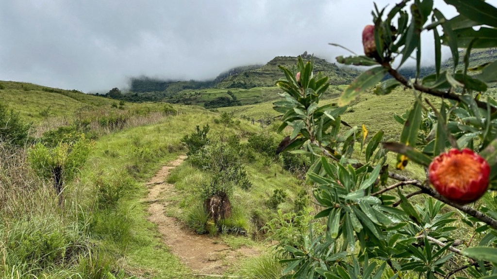 Südafrika (2): Drakensberg & Golden Gate High NP | Eli Superschnelli